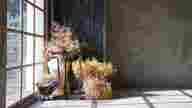 現役フォトスタジオが運営する多目的なレンタルスペース【リリアスタジオ①】の写真2
