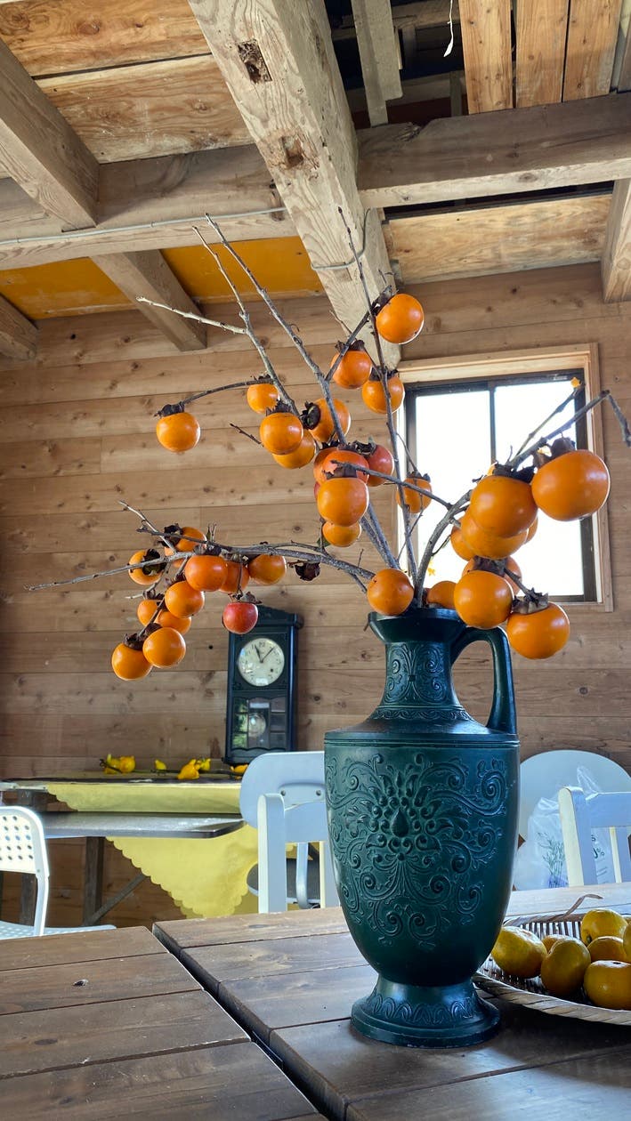 オアシス南房総　3万坪の里山、古民家、長屋門、トレーラコテージ4棟で貸切リトリート！の写真13