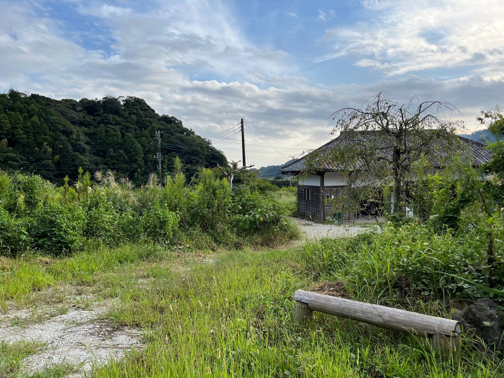 オアシス南房総　3万坪の里山、古民家、長屋門、トレーラコテージ4棟で貸切リトリート！の写真20