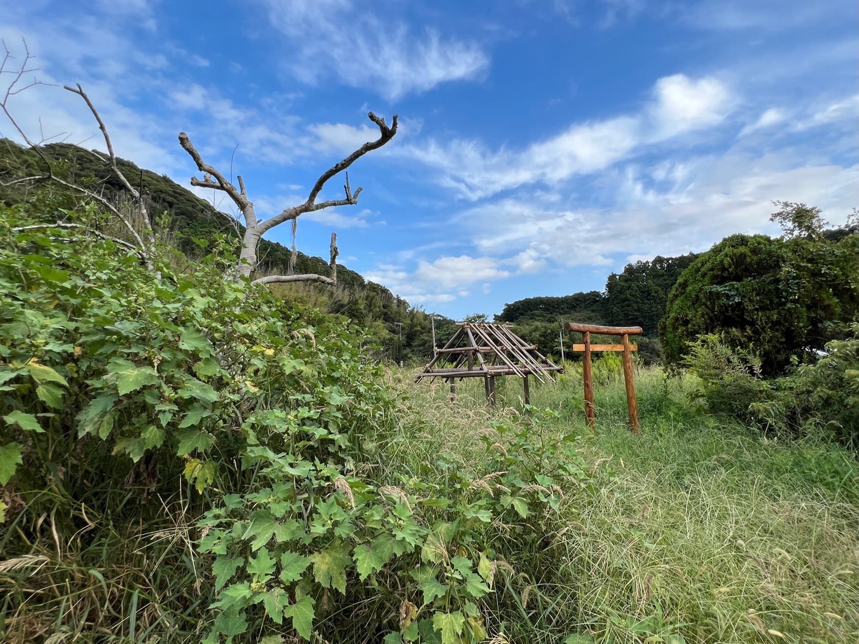 オアシス南房総　3万坪の里山、古民家、長屋門、トレーラコテージ4棟で貸切リトリート！の写真21