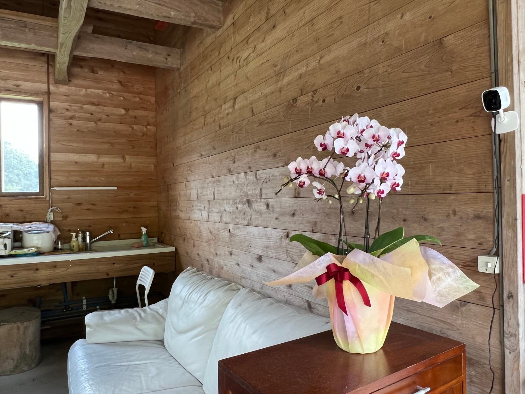 オアシス南房総　3万坪の里山、古民家、長屋門、トレーラコテージ4棟で貸切リトリート！の写真30