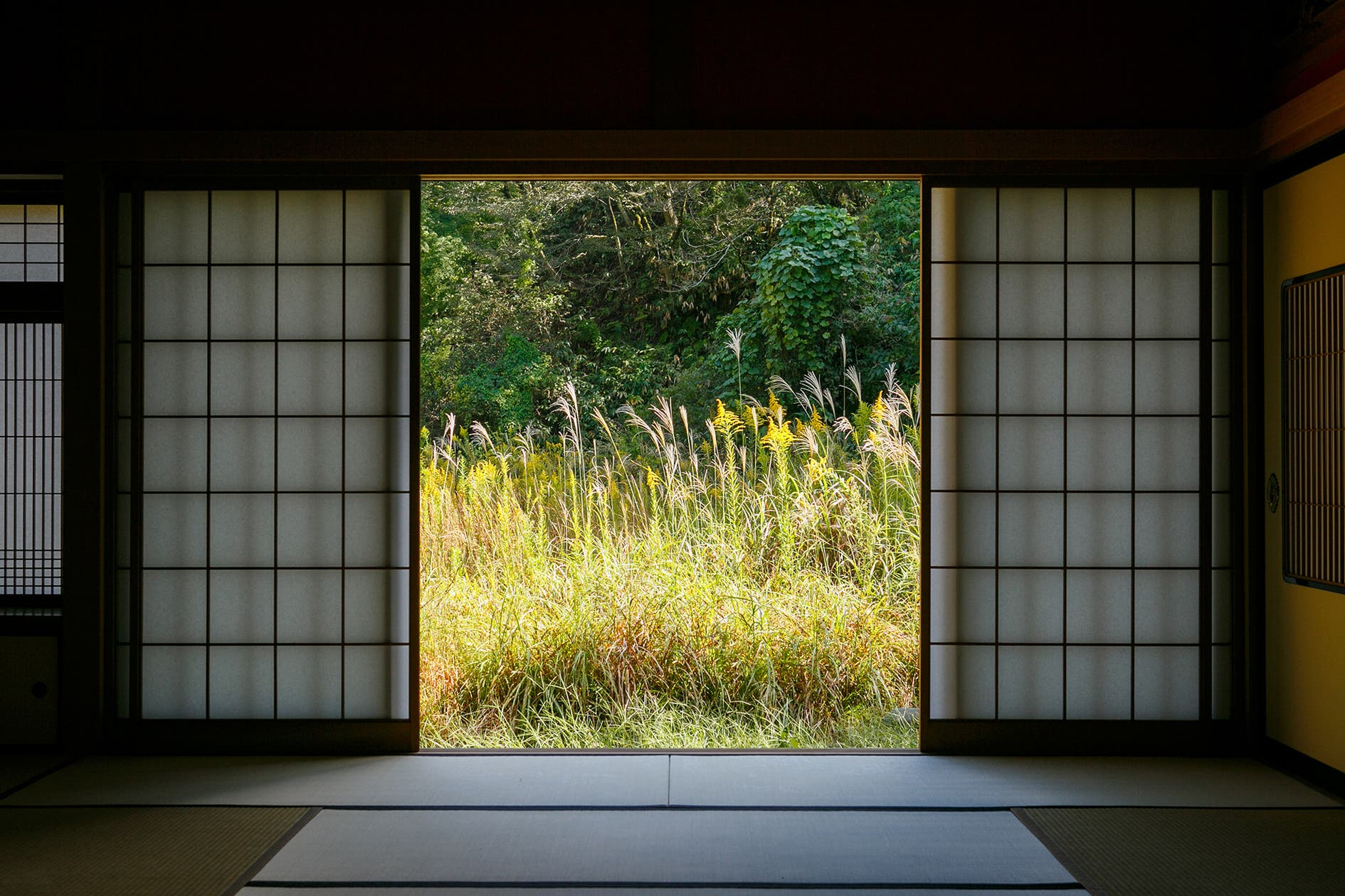 撮影に最適！森の中の一軒家ほぼ丸ごと☆☆の写真1