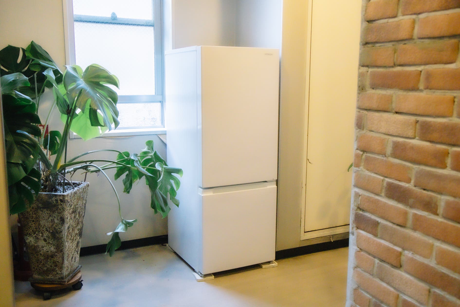 ＜阿部写真館＞フォトウェディングスタジオ貸切💐ペットOK🐶アンティーク/白ホリ/自然光✨ポートレート/コスプレ/動画撮影の写真29