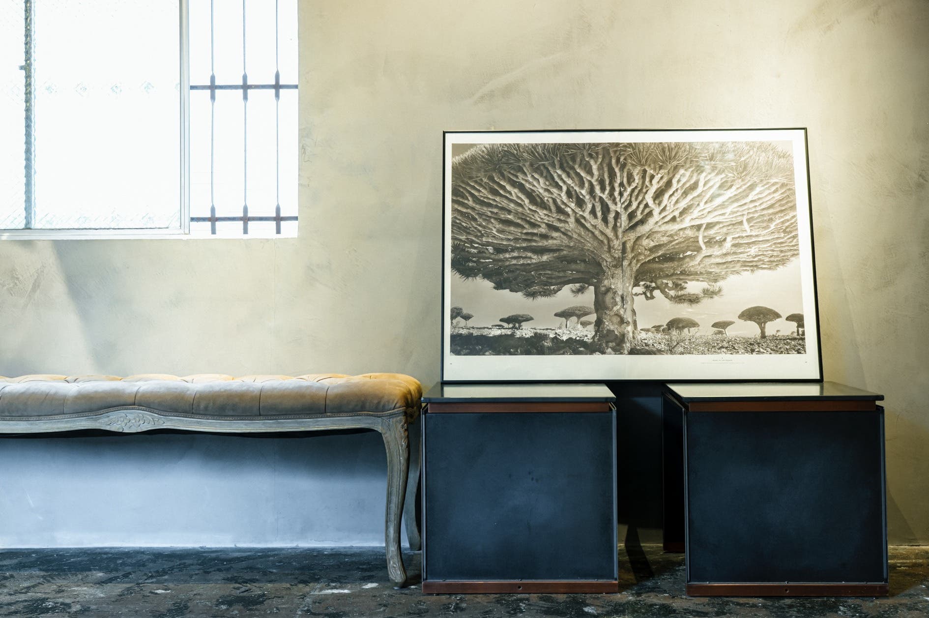 クリエイティビティが掻き立てられるオシャレなスタジオ。「撮影機材込み !」 １Fにカフェ併設の撮影スタジオ／展示会スペースの写真7