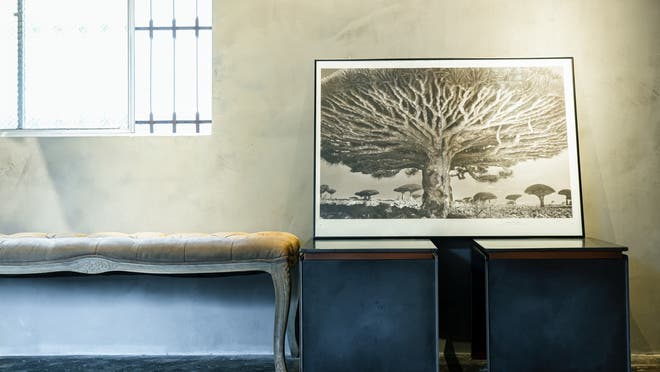 クリエイティビティが掻き立てられるオシャレなスタジオ。「撮影機材込み !」 1Fにカフェ併設の撮影スタジオ/展示会スペースの写真7