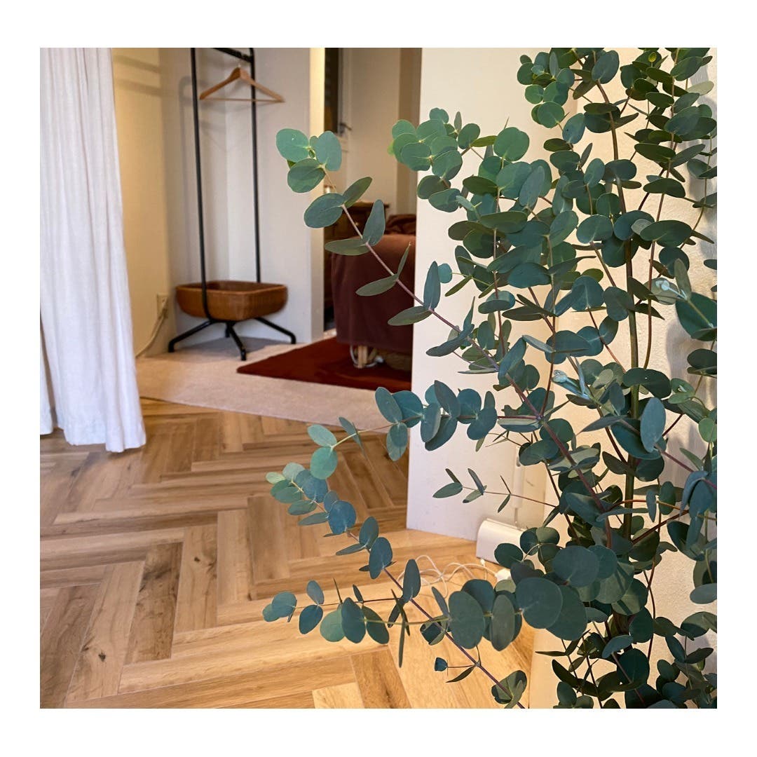 施術ベットあり！レンタルサロン・少人数のグループレッスンなどに！の写真7