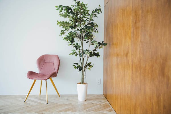 #Clara_Goburin【外苑前/千駄ヶ谷/原宿】駅5分 クリスマス🎄忘年会🤶の写真7