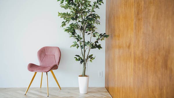 #Clara_Goburin【外苑前/千駄ヶ谷/原宿】駅5分 クリスマス🎄忘年会🤶の写真7