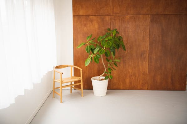 #Clara_Goburin【外苑前/千駄ヶ谷/原宿】駅5分 クリスマス🎄忘年会🤶の写真8