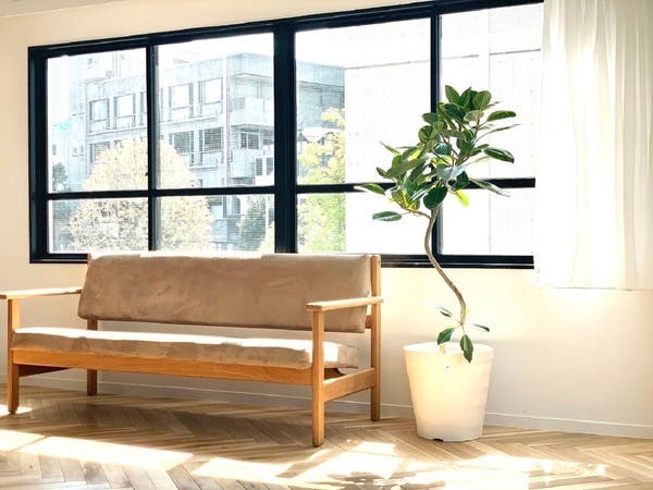 #Clara_Goburin【外苑前/千駄ヶ谷/原宿】駅5分 クリスマス🎄忘年会🤶の写真10