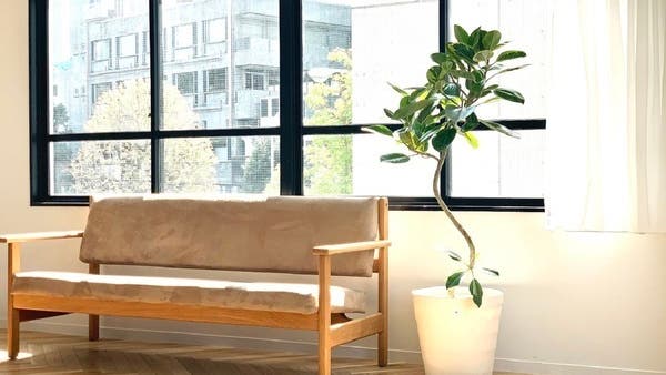 #Clara_Goburin【外苑前/千駄ヶ谷/原宿】駅5分 クリスマス🎄忘年会🤶の写真10