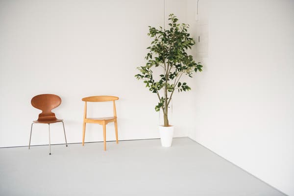 #Clara_Goburin【外苑前/千駄ヶ谷/原宿】駅5分 クリスマス🎄忘年会🤶の写真16