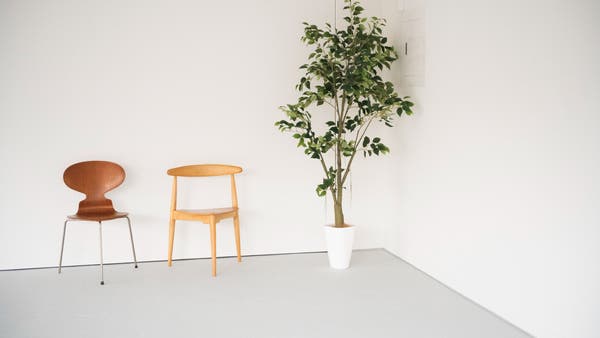 #Clara_Goburin【外苑前/千駄ヶ谷/原宿】駅5分 クリスマス🎄忘年会🤶の写真16