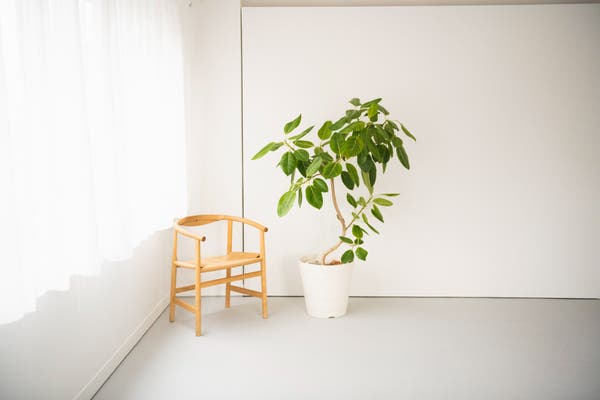 #Clara_Goburin【外苑前/千駄ヶ谷/原宿】駅5分 クリスマス🎄忘年会🤶の写真17