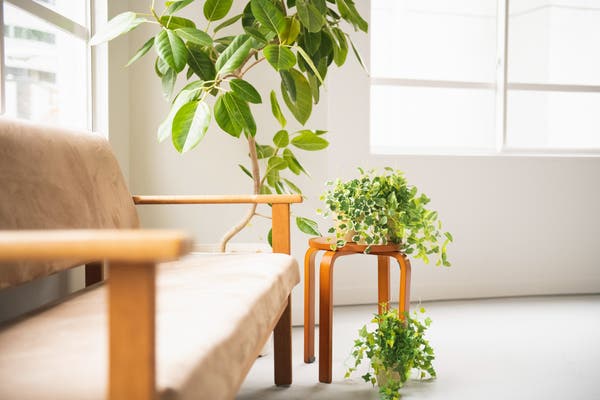 #Clara_Goburin【外苑前/千駄ヶ谷/原宿】駅5分 クリスマス🎄忘年会🤶の写真4