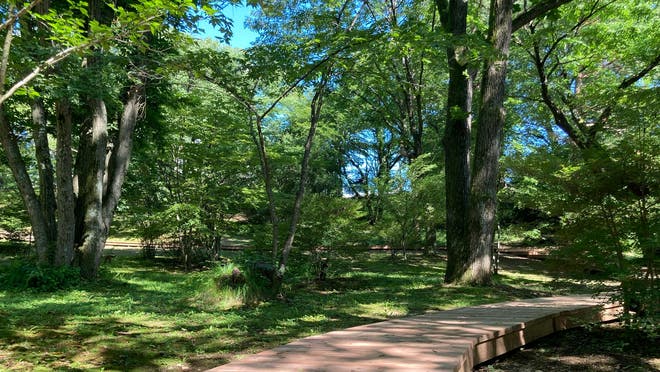 中村キース・ヘリング美術館 / Nakamura Keith Haring Collectionの写真2