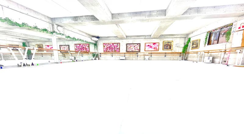 鶴川徒歩9分　地域最大級　バレエ・ダンス専用スタジオ