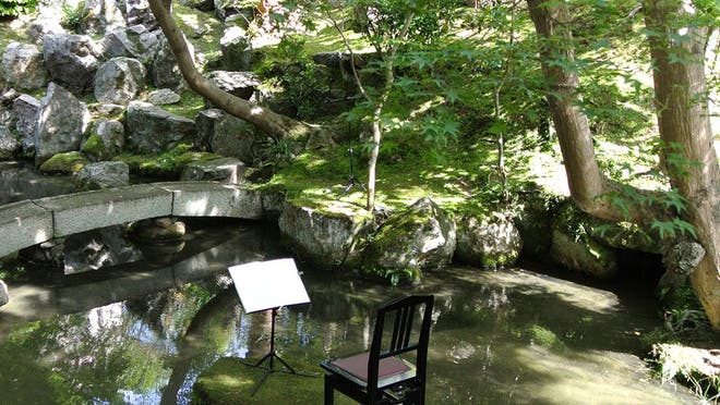 登録有形文化財の県名勝指定受けている庭園と300余年の建物を開放。の写真6