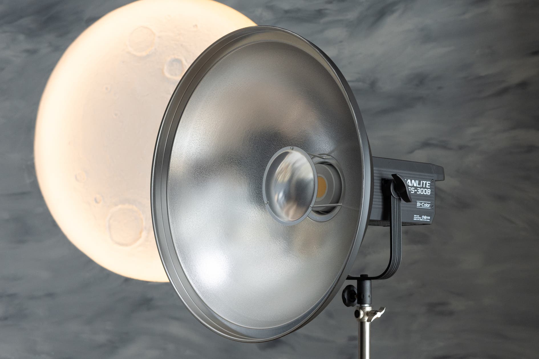 満月のグラデーションと超大型ドライフラワー造形｜一日中自然光が降り注ぐ本格撮影スタジオ｜大型バルコニー有の写真28