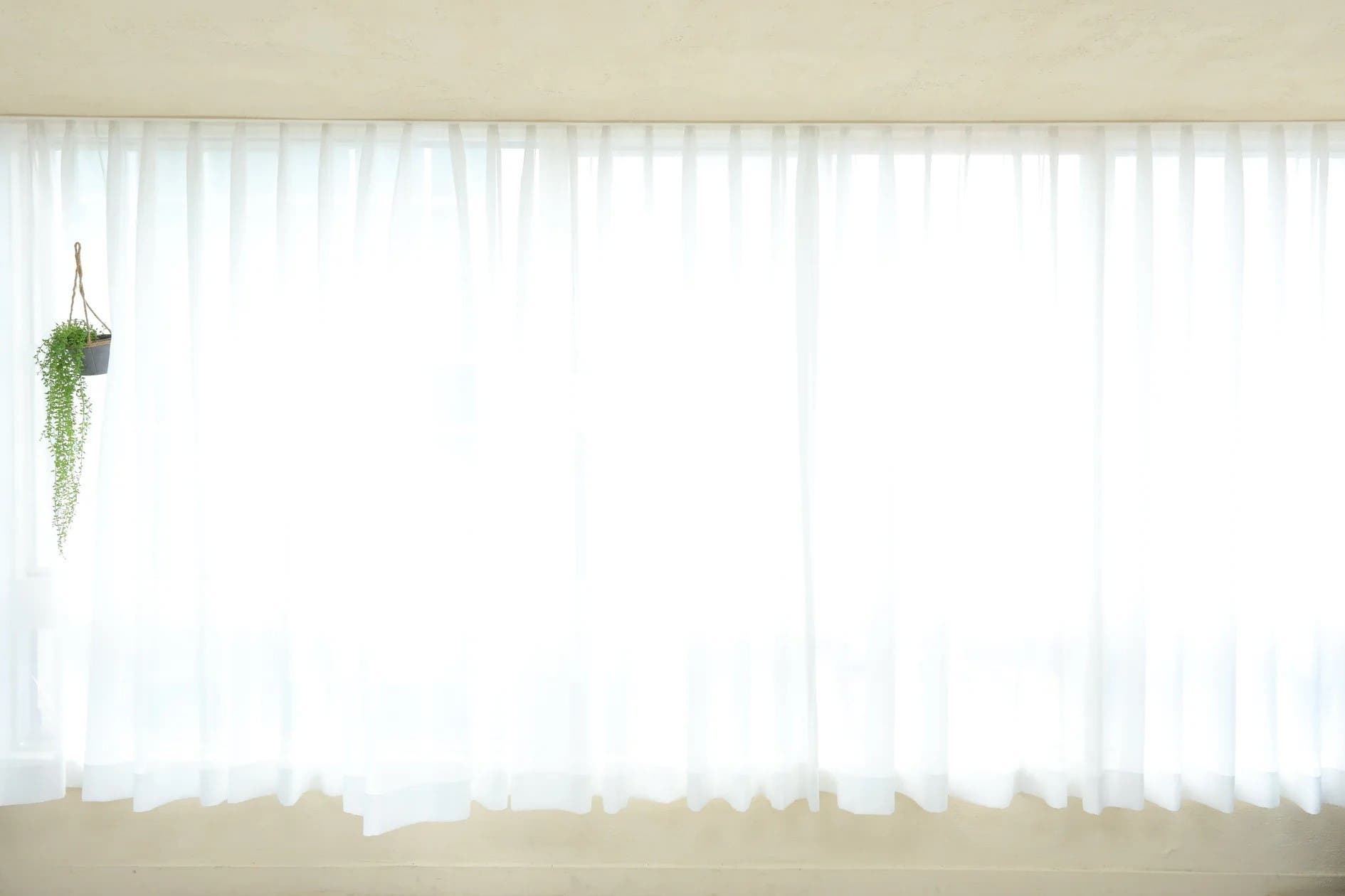 上野駅から徒歩5分 自然光など５種類以上の背景で撮れる！広々ゆったり(スペース面積90㎡)お友達同士シェア利用でお得！の写真5