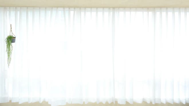 上野駅から徒歩5分 自然光など5種類以上の背景で撮れる!広々ゆったり(スペース面積90㎡)お友達同士シェア利用でお得!の写真5