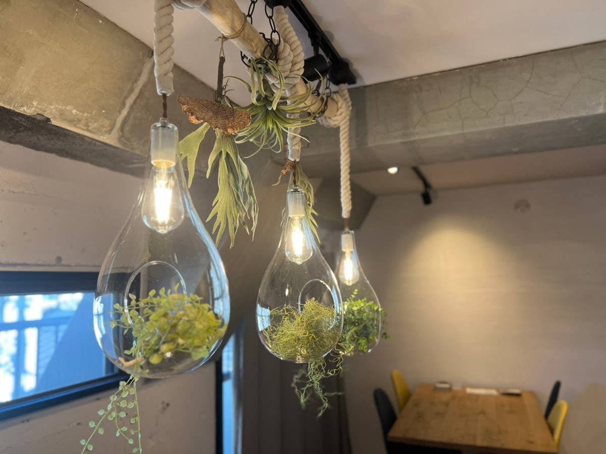 「屋上」無料貸出！撮影・誕生日会・映画鑑賞・会議・レッスン・ママ会などのご利用にぜひ！の写真3