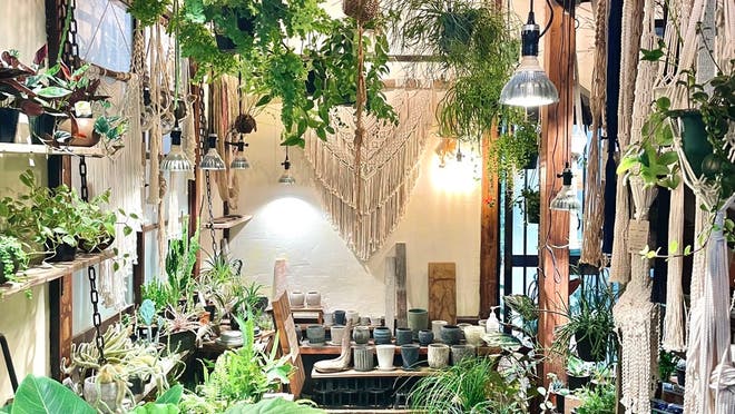 【浅草】築70年の古民家|緑溢れる空間でワークショップや教室、撮影利用に。の写真1