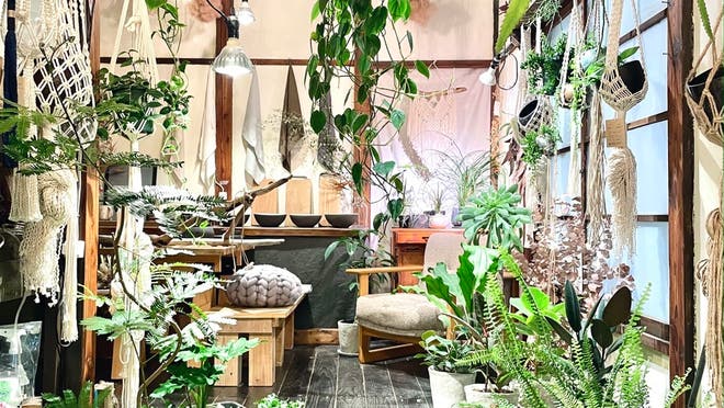 【浅草】築70年の古民家|緑溢れる空間でワークショップや教室、撮影利用に。の写真3