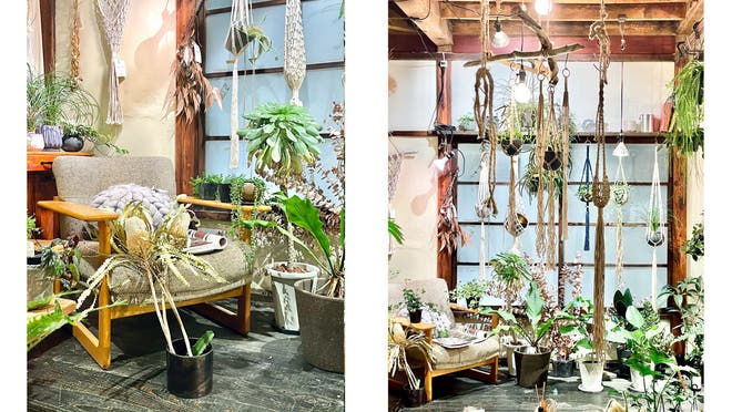 【浅草】築70年の古民家|緑溢れる空間でワークショップや教室、撮影利用に。の写真4