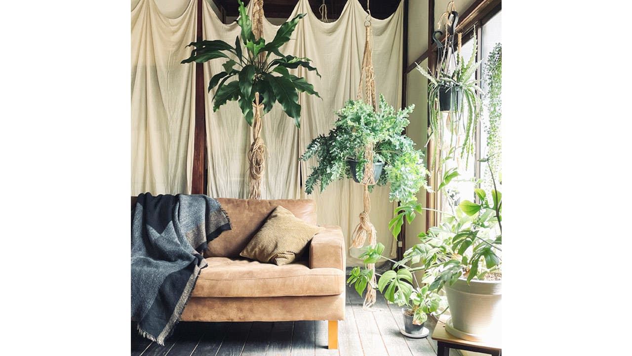 【浅草】築70年の古民家｜緑溢れる空間でワークショップや教室、撮影利用に。の写真6