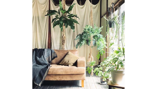 【浅草】築70年の古民家|緑溢れる空間でワークショップや教室、撮影利用に。の写真6