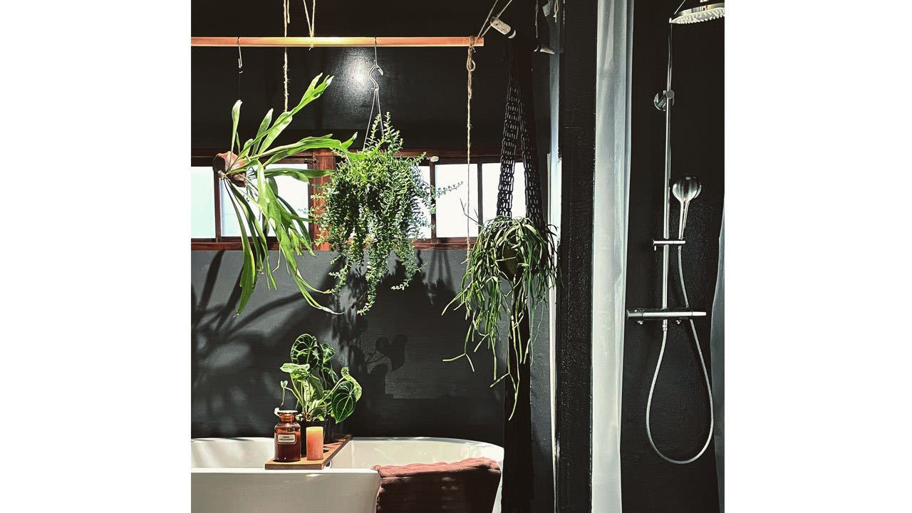 【浅草】築70年の古民家｜緑溢れる空間でワークショップや教室、撮影利用に。の写真12