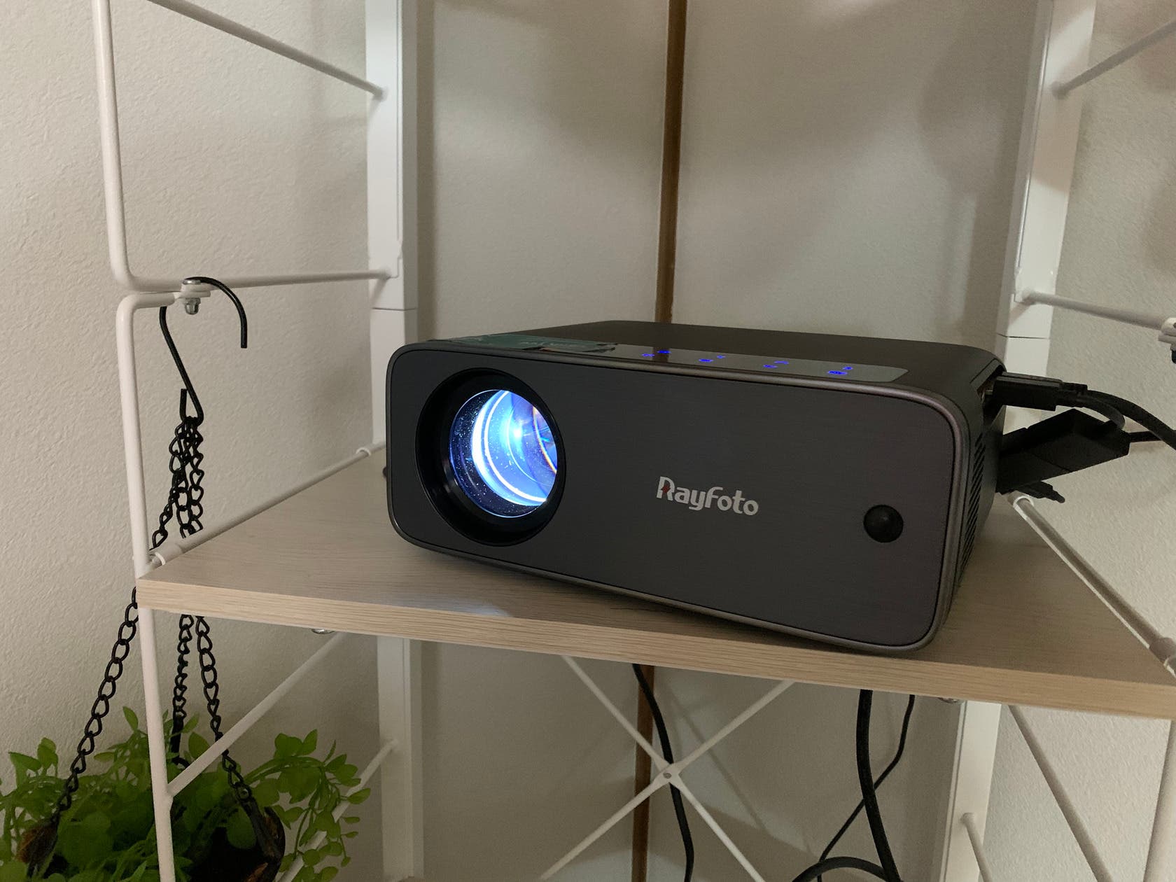 🍷たこパ・映画・おしゃれトーク💬女子会するならここ🎉松永駅チカの隠れ家🌿_スペースAの写真10