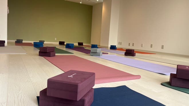 阪急稲野駅から徒歩10分以内のヨガスタジオの写真3