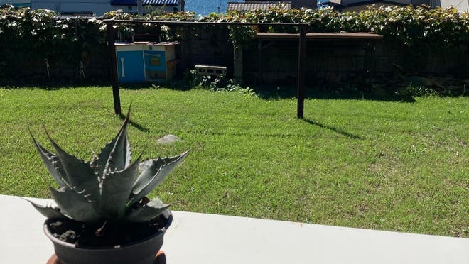 湘南 海近 港街の古民家の写真15