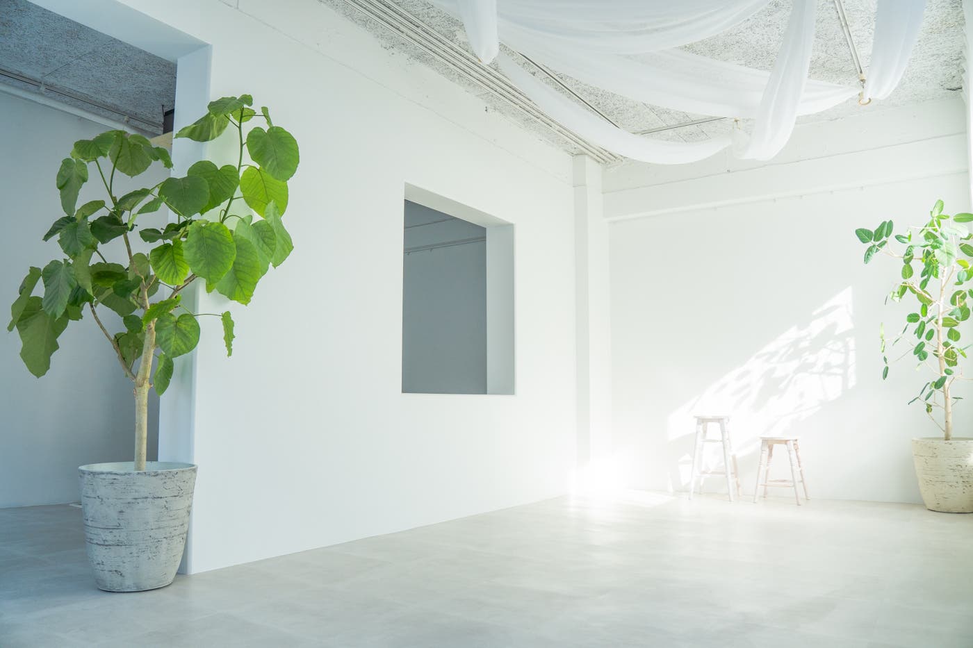 【銀座駅・築地駅徒歩圏内】自然光の入る白を基調としたスペース｜フォトスタジオ・個展・ワークショップ・ポップアップの写真7