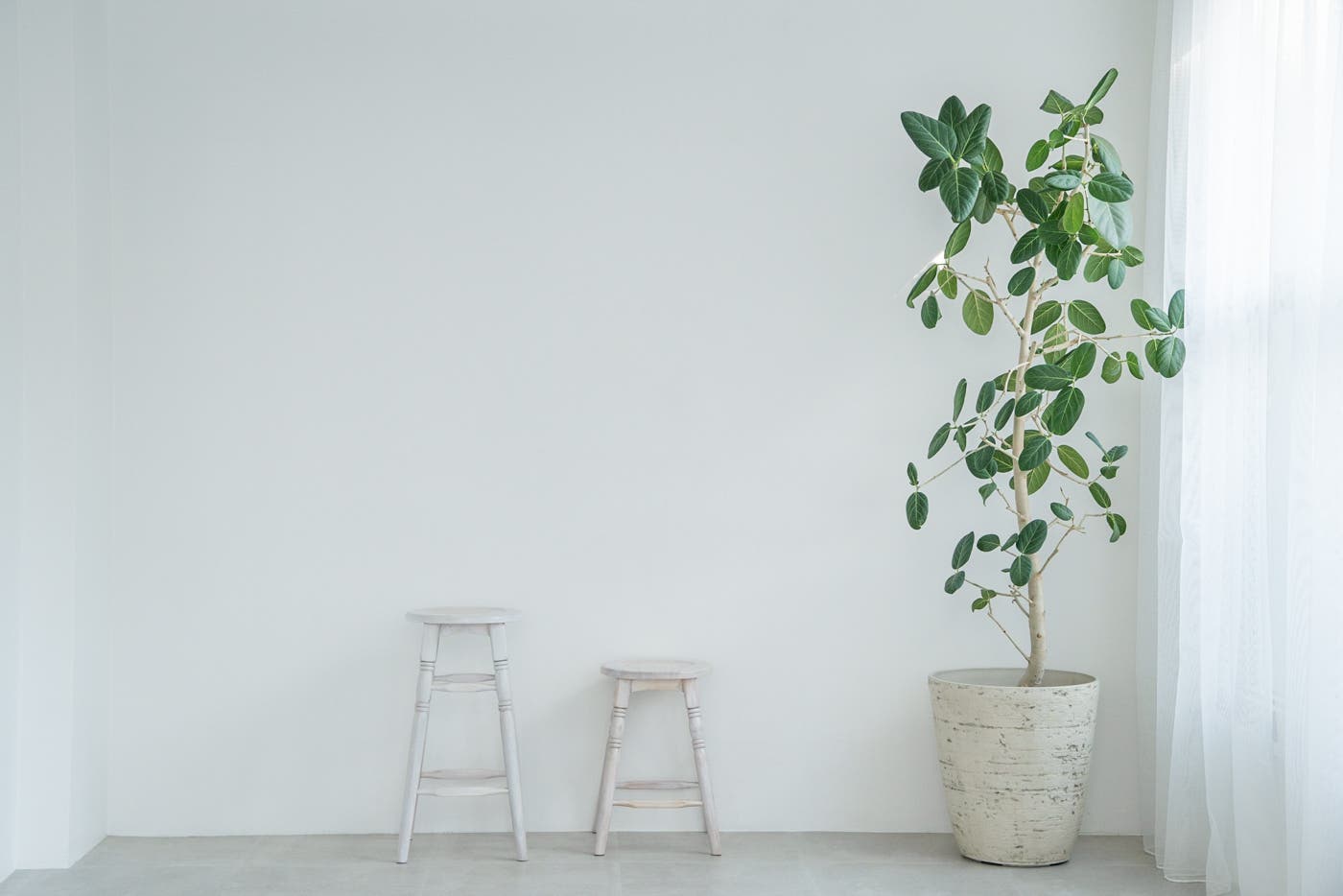 【銀座駅・築地駅徒歩圏内】自然光の入る白を基調としたスペース｜フォトスタジオ・個展・ワークショップ・ポップアップの写真10