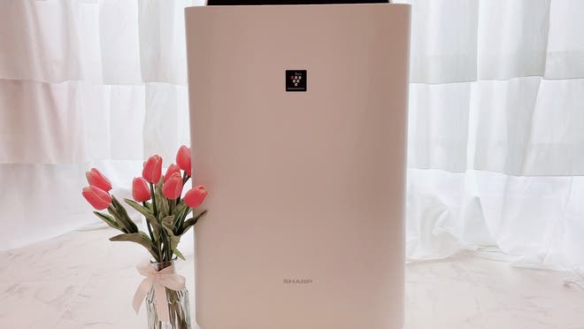 🏰カワイイお姫様スポット👑💖pesca bianca💖✨【名古屋駅5分】新年会/推し会/女子会/デート/24H可✨の写真11