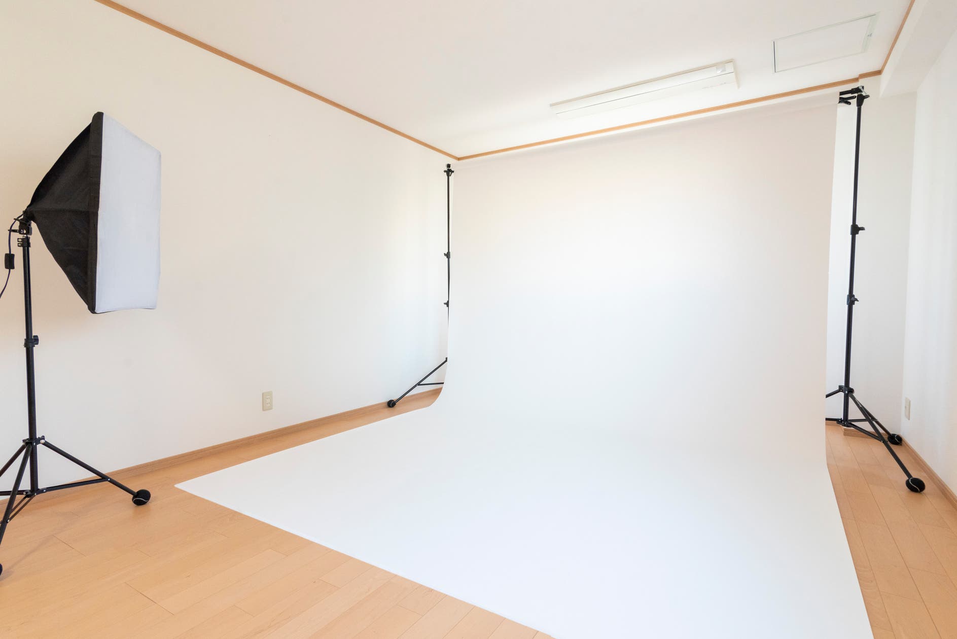 背景紙貸し出しの画像1