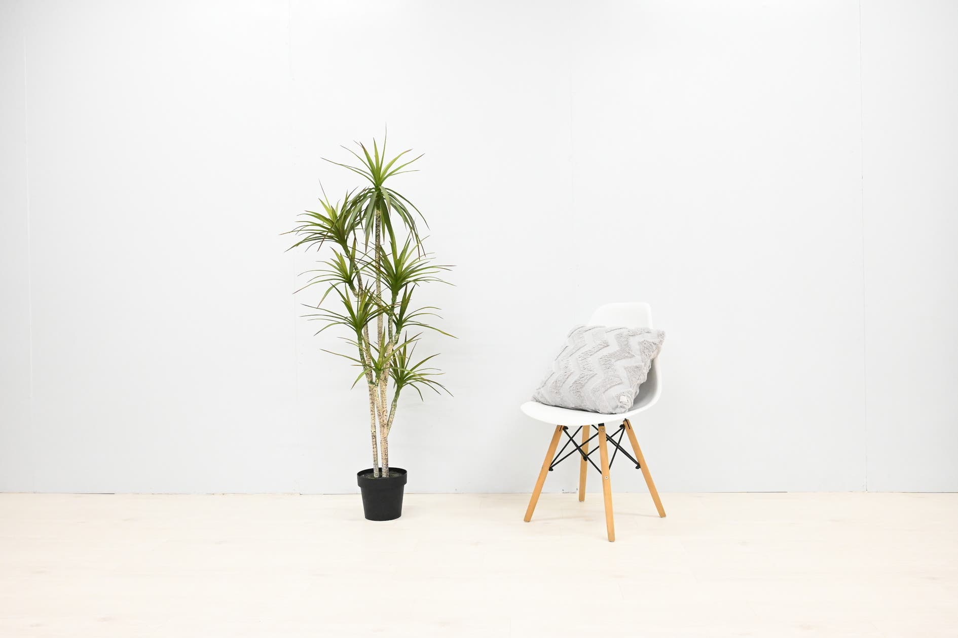 【宇都宮駅より車で5分】🎊広々70㎡で自然光◎🎉最大20名利用可✨駐車場10台有り✨バス停より徒歩10秒でアクセス◎の写真4