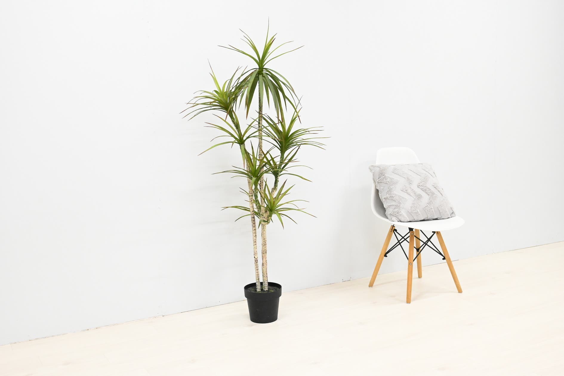 【宇都宮駅より車で5分】🎊広々70㎡で自然光◎🎉最大20名利用可✨駐車場10台有り✨バス停より徒歩10秒でアクセス◎の写真5