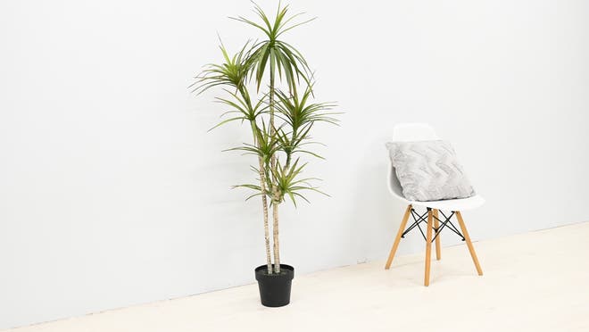 【宇都宮駅より車で5分】🎊広々70㎡で自然光◎🎉最大20名利用可✨駐車場10台有り✨バス停より徒歩10秒でアクセス◎の写真5