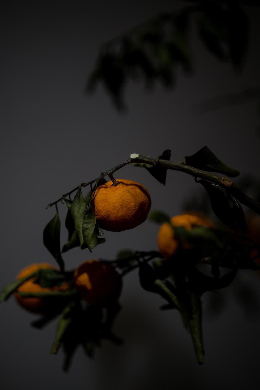 駅近徒歩30秒！45平米のシロハコスタジオ。展示会やフリマ等のイベントにおすすめの写真12