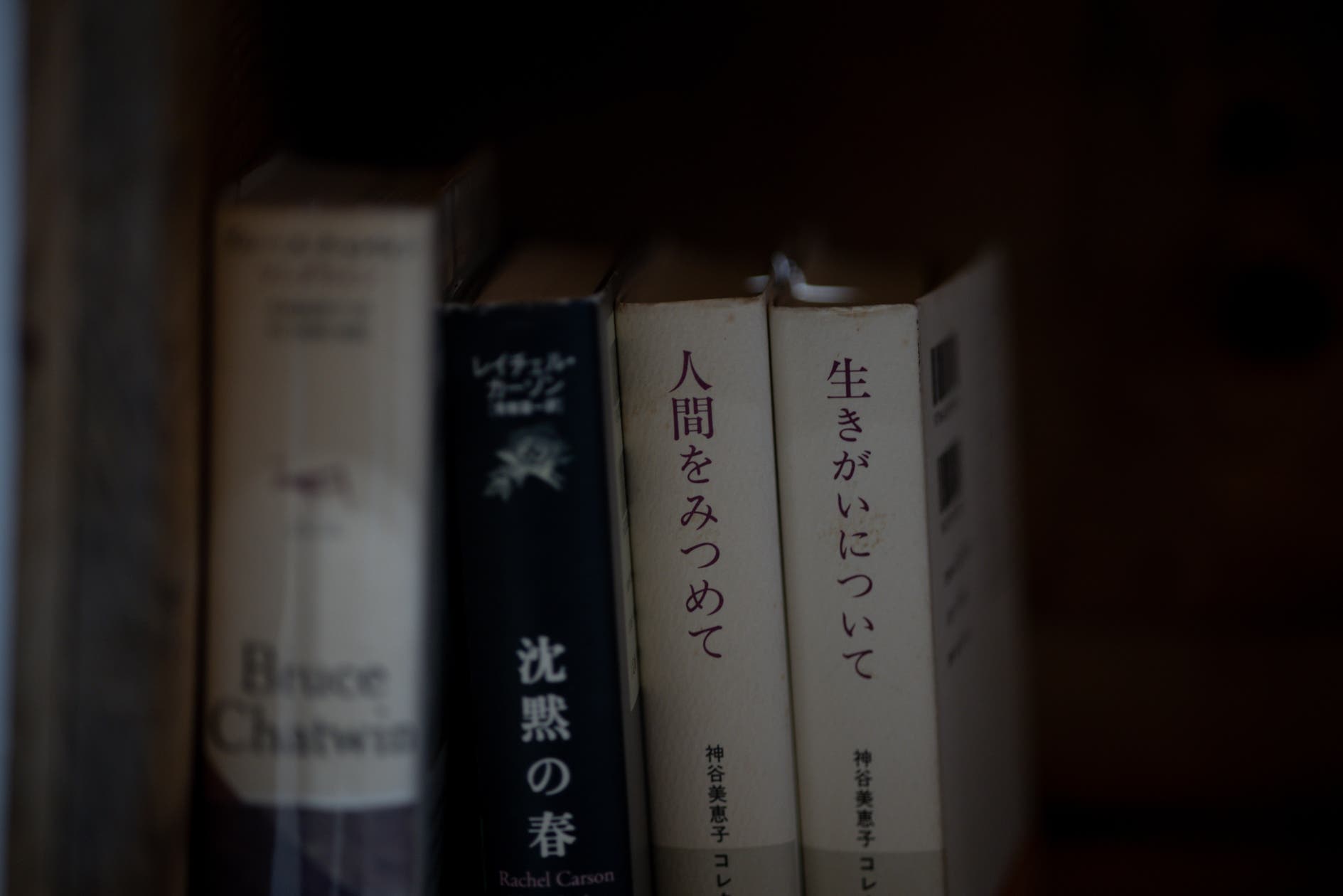 駅近徒歩30秒！45平米のシロハコスタジオ。展示会やフリマ等のイベントにおすすめの写真13