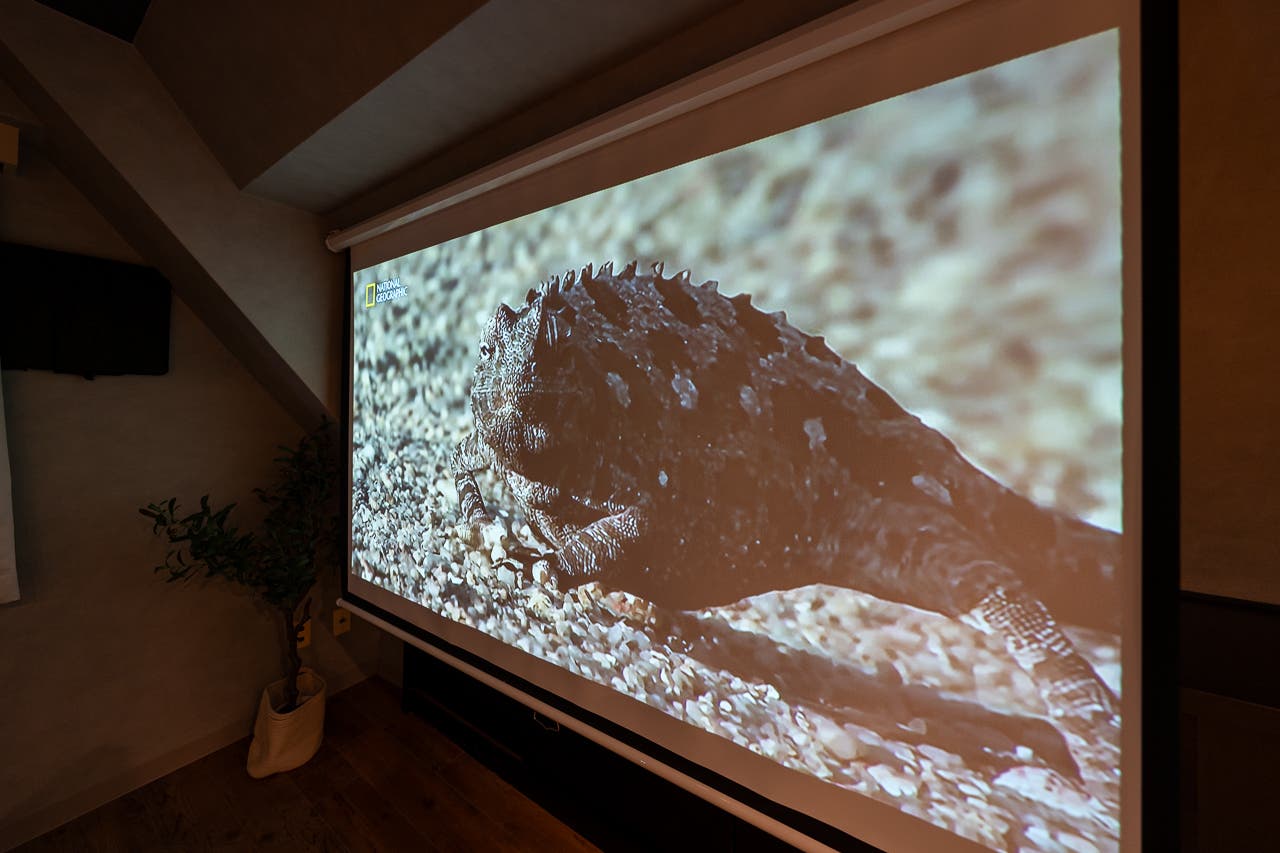 スペモ✨クリスマス🎄恵比寿3分🚶パーティー🎉プロジェクター🎬デート👫撮影📷女子会💖477_Onni恵比寿2ndの写真14