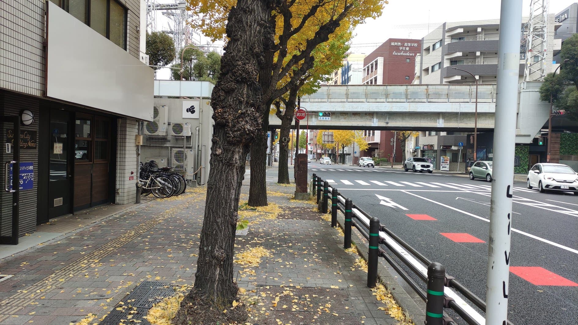 多人数での推し活、パーティー、デートに！🥳スーパー・コンビニそば🏪65インチ4K、迫力の音響🎥禁煙🚭清潔✨野間602の写真14