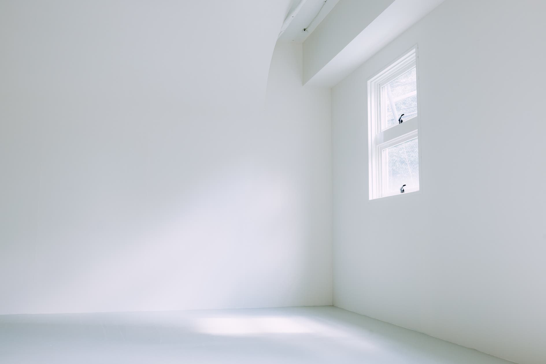 駒場東大前駅から徒歩6分の自然光の入る撮影スタジオ、展示やポップアップにも。の写真8