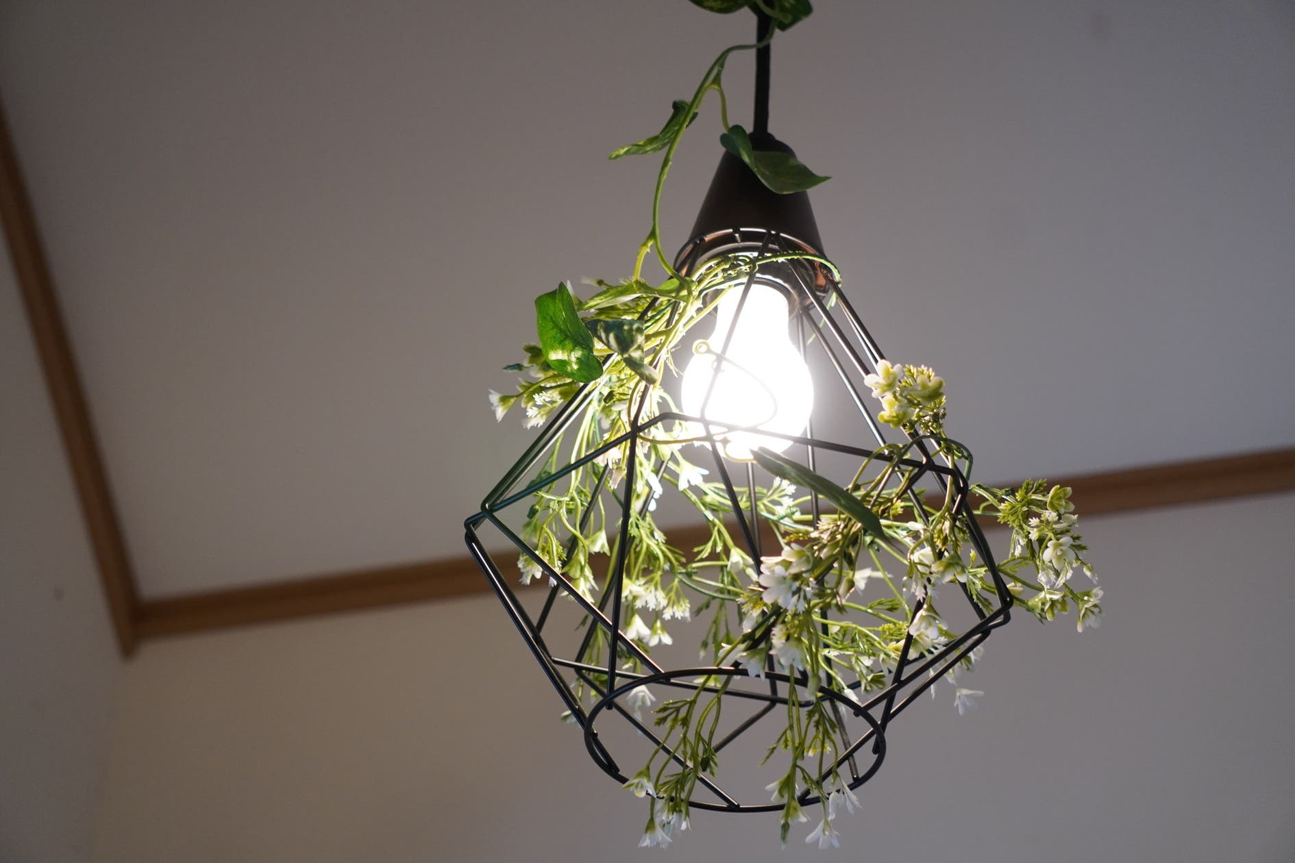 撮影にぴったり♡カントリーな雰囲気が可愛いコテージの写真10