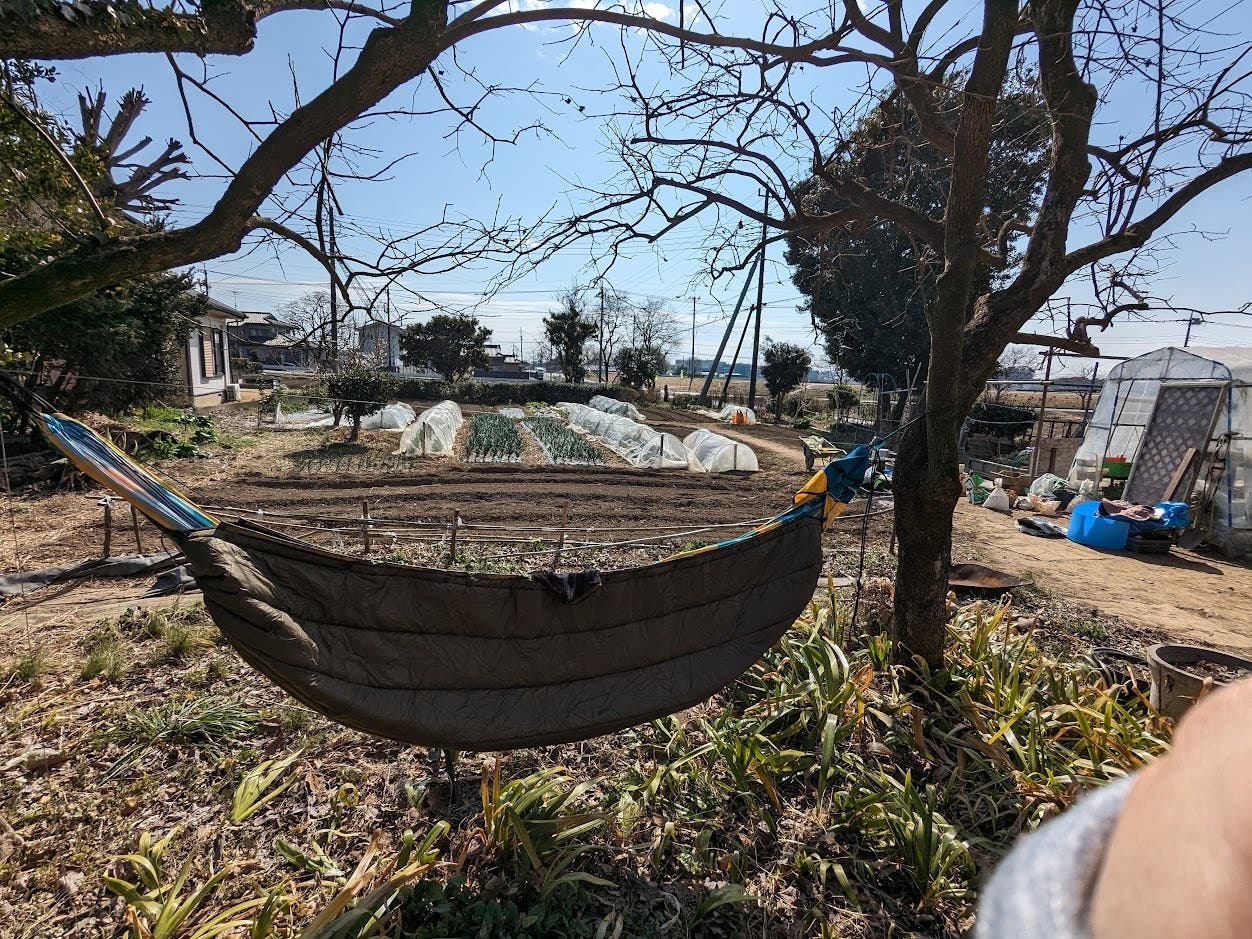 プライベートに使えるログハウスと庭の写真16