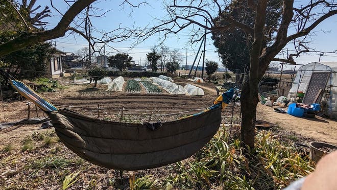 プライベートに使えるログハウスと庭の写真16